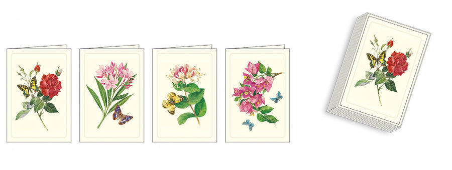 French and Italian Note Cards | Letter Seals – LetterSeals.com